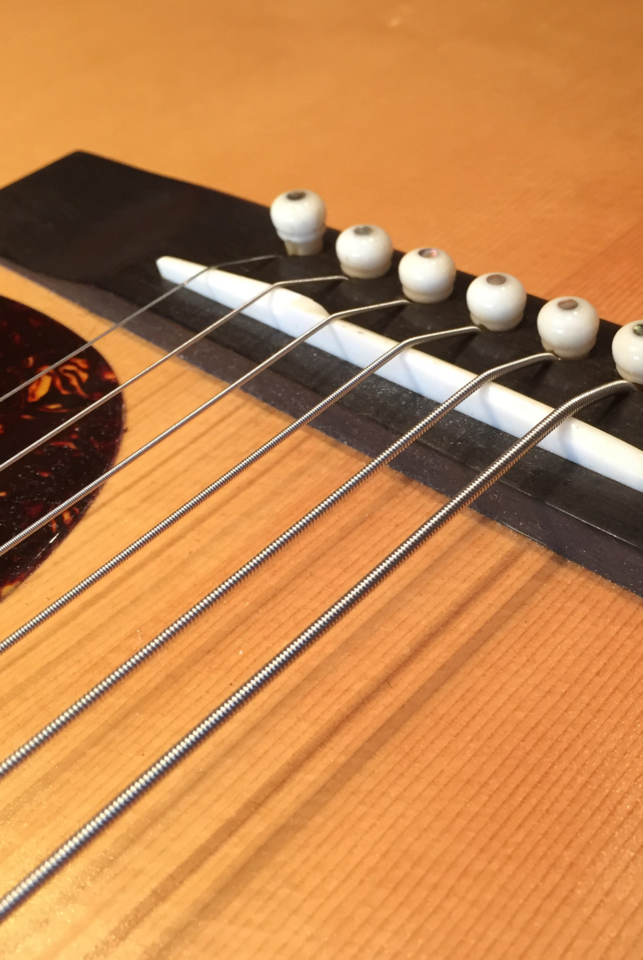 Flip Scipio | Baritone