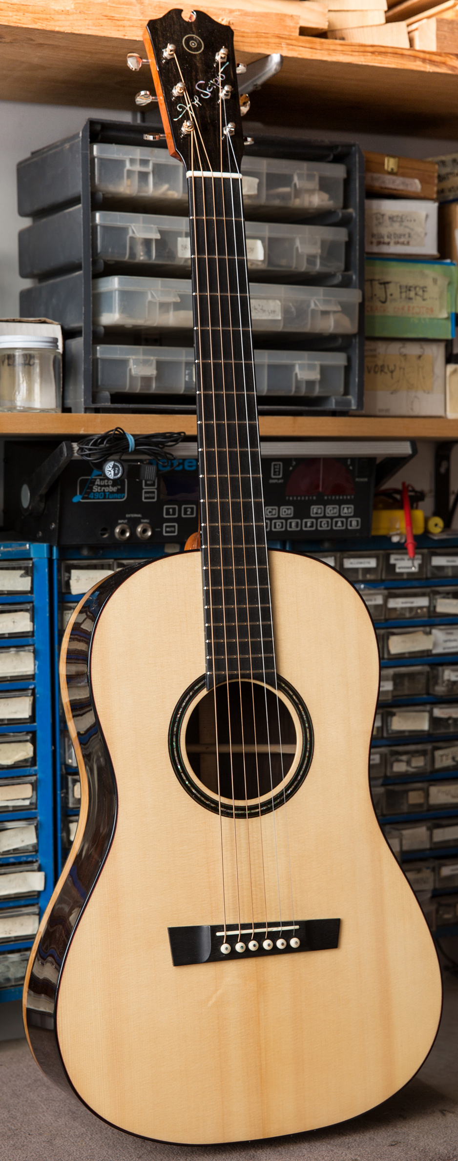 Flip Scipio | Ditson Style